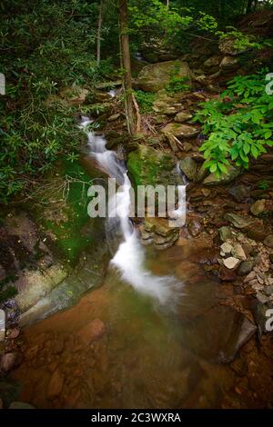 Small waterfall in Pisgah National Forest, with Autumn colors on trees ...