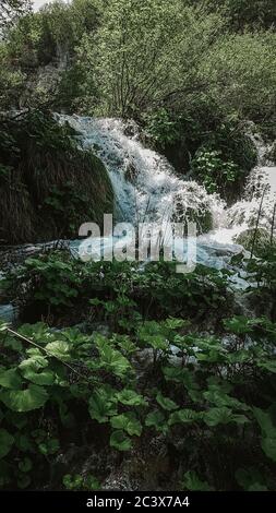 A flowing waterfall surrounded by growing trees Stock Photo - Alamy