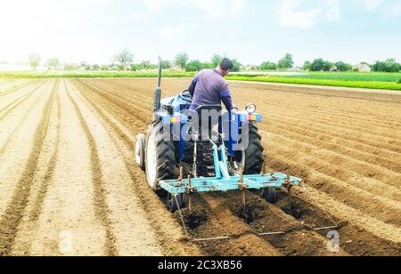Farmer on a tractor making ridges and mounds rows on a farm field ...