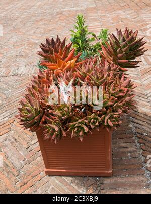 Castel Sant'Elmo funicular, Naples, Italy Stock Photo - Alamy