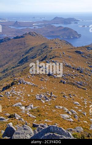 View over Port Davey from Mt Berry Stock Photo - Alamy