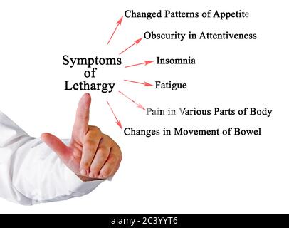 Presenting Six Symptoms of Lethargy Stock Photo - Alamy