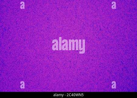 mauve violet background texture for graphic design Stock Photo - Alamy