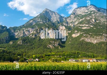 Belluno, Italy - August 11, 2019: Landscape with houses are surrounded ...