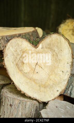 Close-up of logging truck Stock Photo - Alamy