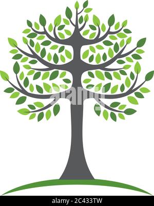 tree floral plant isolated icon Stock Vector Image & Art - Alamy
