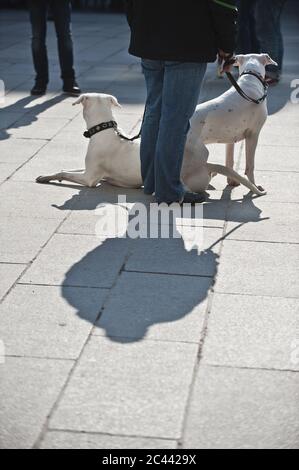 Two On the Rope, vertical rope, Germany, competing during the 43rd ...