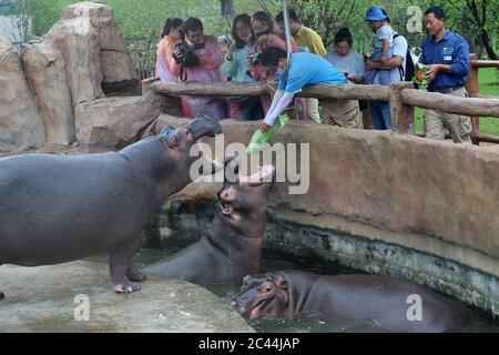 Nantong, Nantong, China. 24th June, 2020. JiangsuÃ¯Â¼Å'CHINA-On June 23 ...