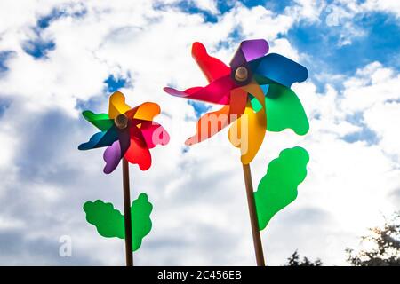 A colored Catherine wheel wind (pinwheel) with wooden stick. Shot from ...