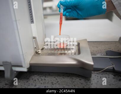Chemist with gloved hand weighing out a white powder sample on an ...