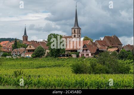 France Bas Rhin Alsace Wine Route Mittelbergheim labelled Les Plus ...