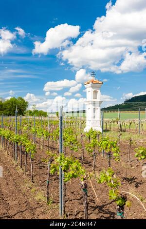 vineyards, Palava, Moravia region, Czech Republic Stock Photo - Alamy