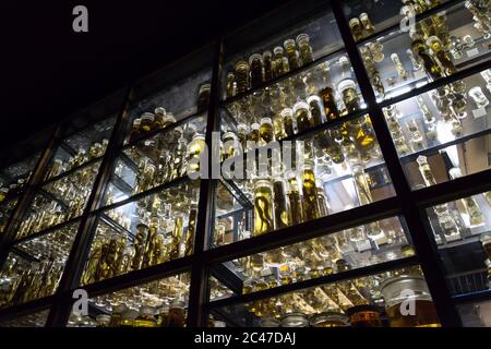 Shelves with various animals preserved in formaldehyde solution Stock ...