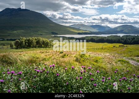 Lake Loch Tulla surrounded by mountains and meadows in the UK Stock ...