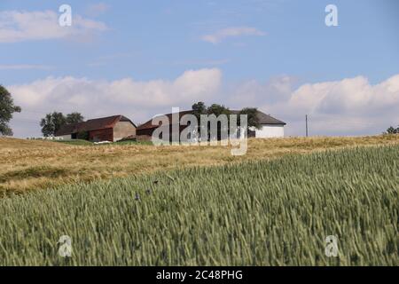 Austrian agriculure field nearby farmhouse Stock Photo - Alamy