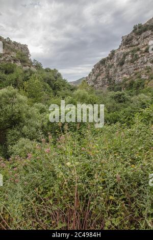 Anapo River Gorge, Hyblean Plateau, Sicily, Italy Stock Photo - Alamy