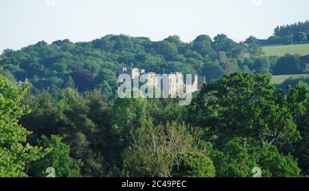 Whitcliffe Common Nature Reserve in Ludlow, UK Stock Photo - Alamy