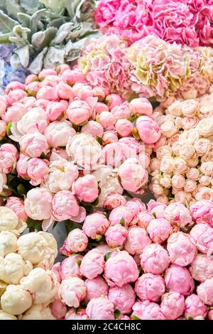 Floral carpet or Wallpaper. Background of mix of flowers. Beautiful ...