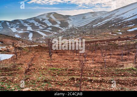 Farm land, Bekaa valley, Lebanon Stock Photo - Alamy