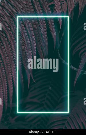 Fern leaves with colorful neon light, free space for text Stock Photo ...