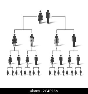 Genealogical family tree. Dynasty. Vector illustration Stock Vector ...