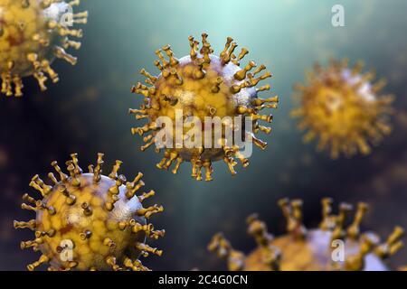 Computer illustration of a varicella zoster virus particle, the cause ...