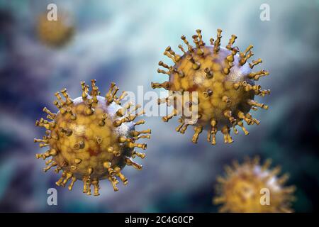 Computer illustration of a varicella zoster virus particle, the cause ...