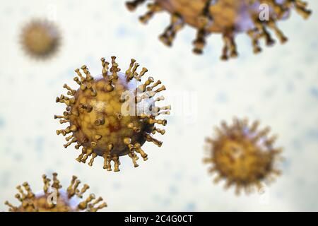Varicella zoster virus (VZV) particle, coloured transmission electron ...