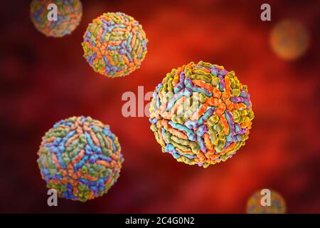 Illustration of a West Nile Virus particle Stock Photo - Alamy