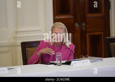 Ginni Rometty, CEO, IBM. United States President Donald Trump delivers ...