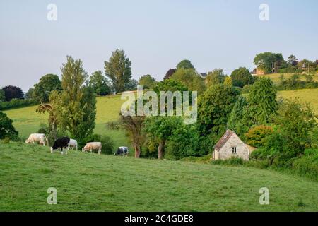 Pitchcombe House. Pitchcombe, Cotswolds, Gloucestershire, England Stock ...