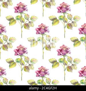 Watercolor rose flowers and leaves background vector. Floral bouquet ...