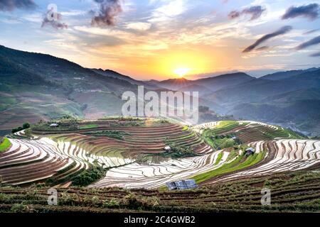The image is as beautiful as the oil painting of terraced field. Curved ...