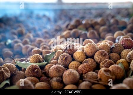 Farmers dry lychee after harvesting in Luc Ngan District, Bac Giang ...