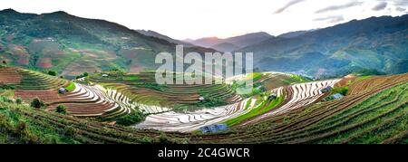 The image is as beautiful as the oil painting of terraced field. Curved ...