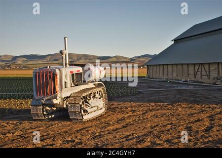Restored farmall tractor with new paint job at produce farm in Santa ...