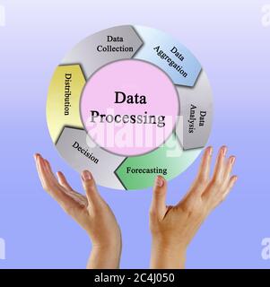 Five components of Data Processing Stock Photo - Alamy