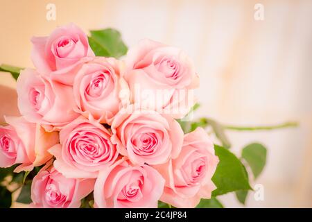 Close up macro of Luciano roses variety, studio shot Stock Photo - Alamy
