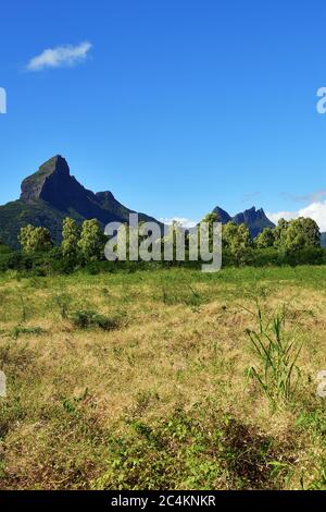Typical Mauritius landscape, spread fields and high cliff against blue ...