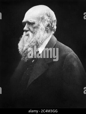 Portrait of Charles Robert Darwin - an English naturalist, geologist and biologist, best known ...