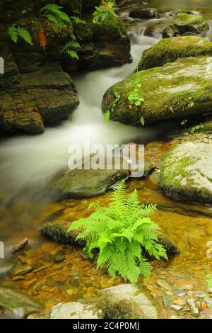 Long exposure of a waterfall on the Hoar Oak Water river at Watersmmet ...