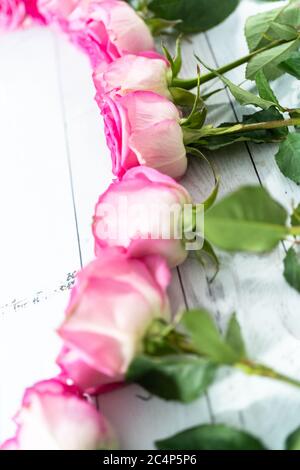 Pink roses with the stem on a painted white wooden background Stock ...