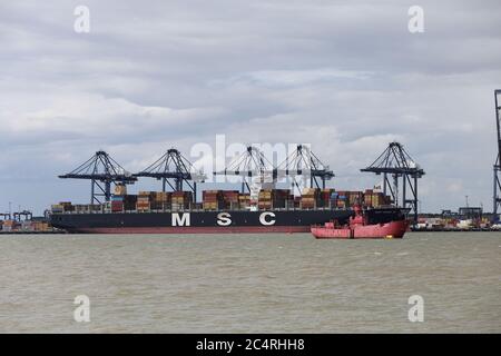 Container ship MSC Rosa M docked at the Port of Felixstowe, Suffolk, UK ...