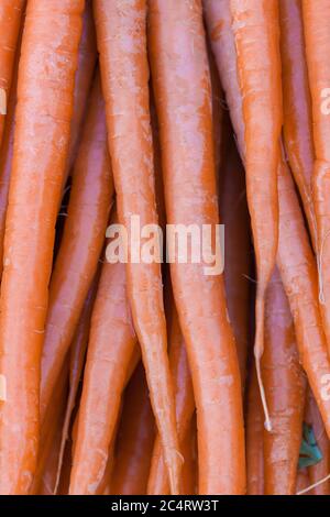 Freshly Picked Carrots, Full-Frame Stock Photo - Alamy