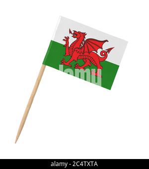 Miniature stick Wales flag on green grass, close up sunny field ...