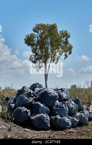 Plastic garbage bags near the tree Stock Photo - Alamy