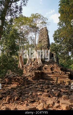 Incredible shot of ancient temple ruins with trees having grown deeply ...