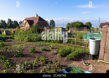 Hamstreet village, ashford, kent, uk Stock Photo - Alamy