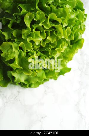 Ripe green crisp-head lettuce, side view, organic Stock Photo - Alamy