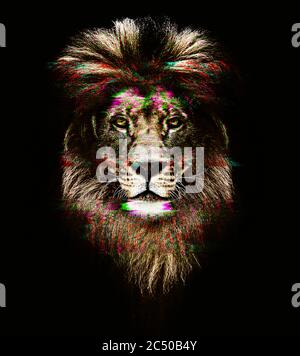 Glitch Portrait of a Beautiful lion, lion in dark. Unique Design ...